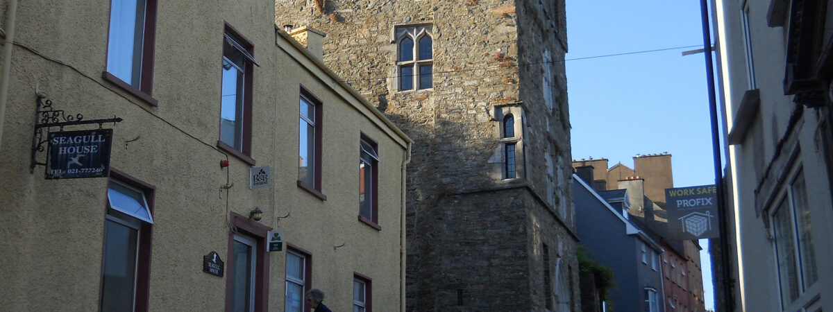 Desmond Castle - Irish castle • Go-to-Ireland.com