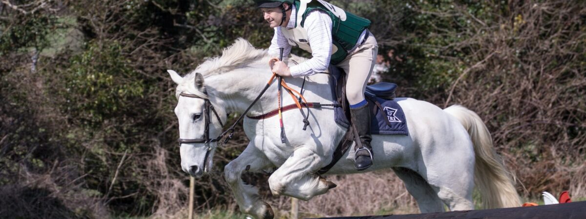 The Irish hunter - Breed of horse • Go-to-Ireland.com