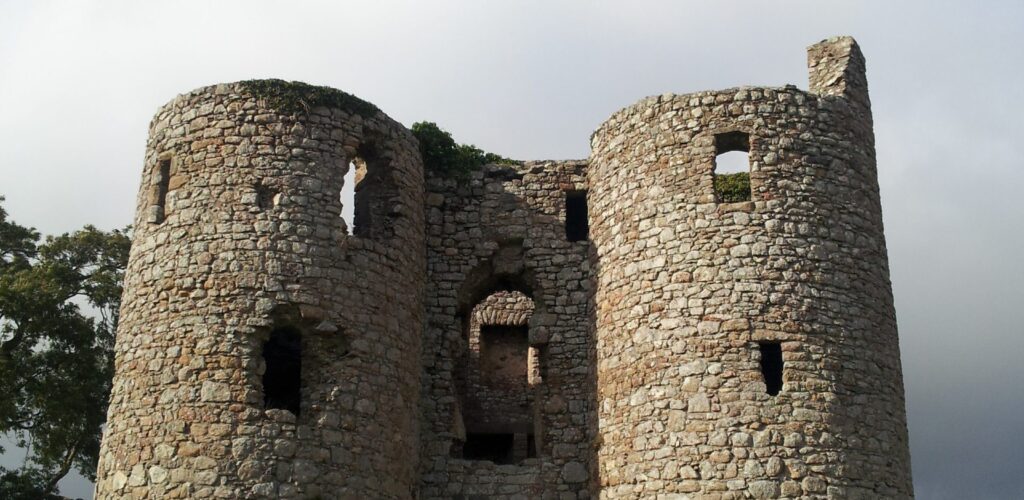 Ballyloughan Castle - Irish castle • Go-to-Ireland.com