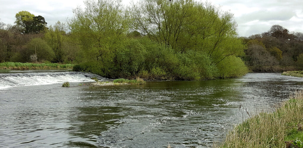 Barrow - Irish river in County Laois • Go-to-Ireland.com