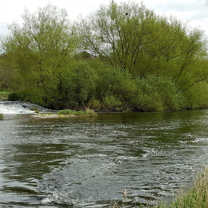 Barrow - Irish river in County Laois • Go-to-Ireland.com
