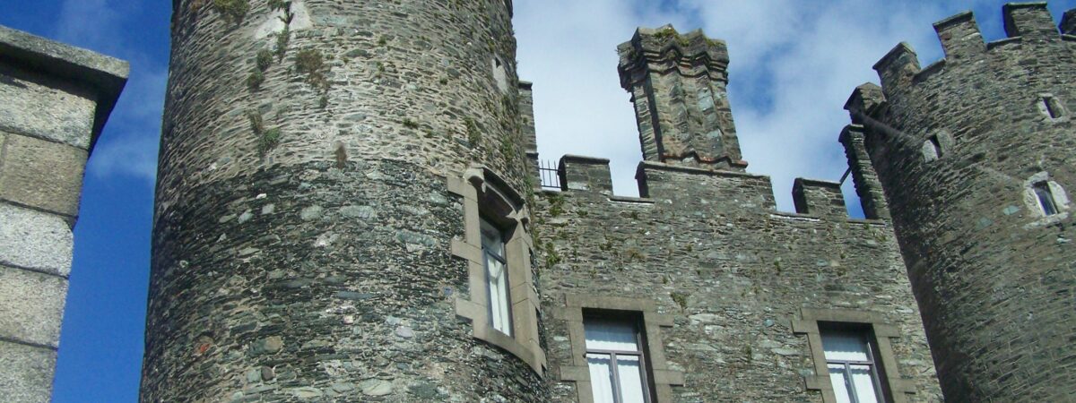 The Enniscorthy Castle - Irish Castle • Go-to-Ireland.com