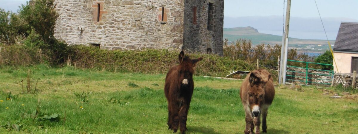 Le Gallarus Castle - Castle in Ireland • Go-to-Ireland.com