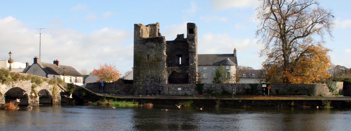 Leighlinbridge ☘️ : activities & accommodation • Go-to-Ireland.com