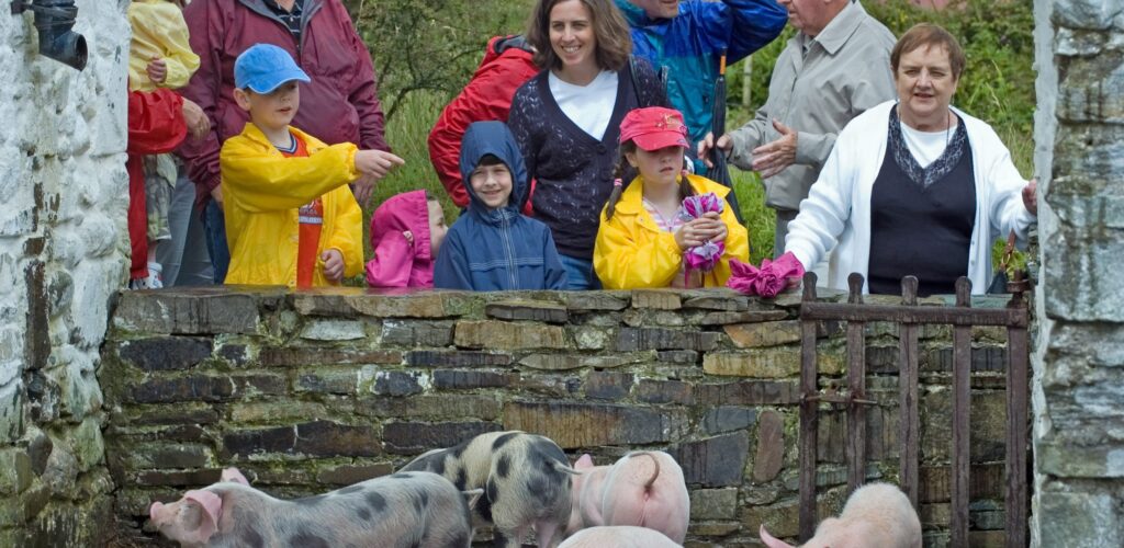 Muckross Farms - Irish farms • Go to Ireland.com