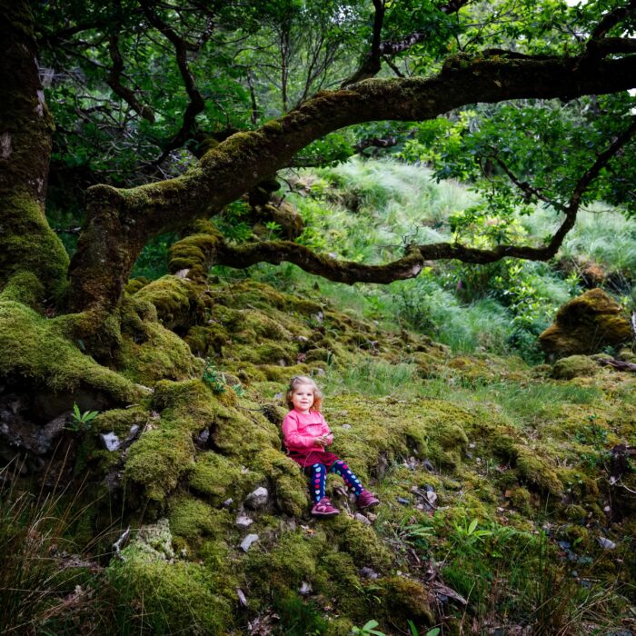 The Merrow - Gaelic mermaid | Guide Ireland.com