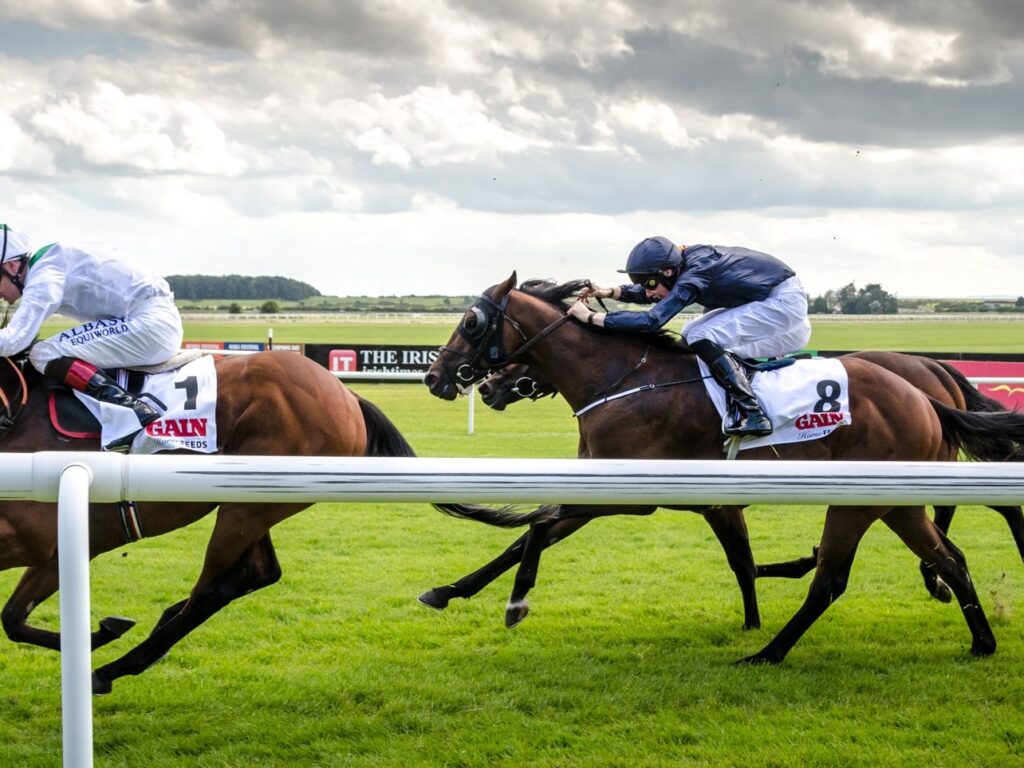 Irish racecourses to visit in Ireland ☘️ • Go-to-Ireland.com