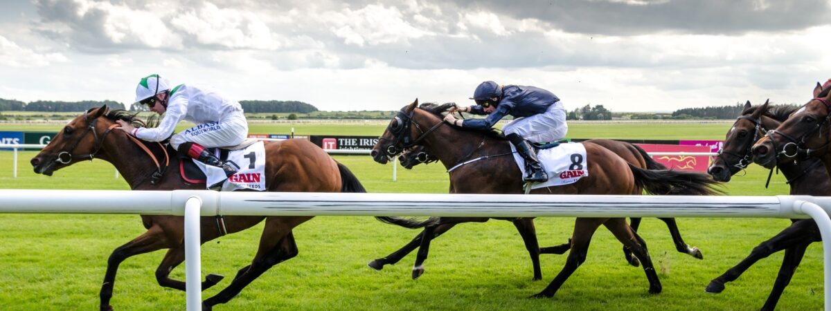 Irish racecourses to visit in Ireland ☘️ • Go-to-Ireland.com