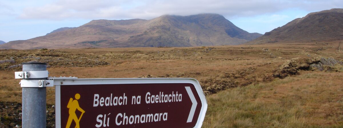 Irish Gaelic • Go-to-Ireland.com