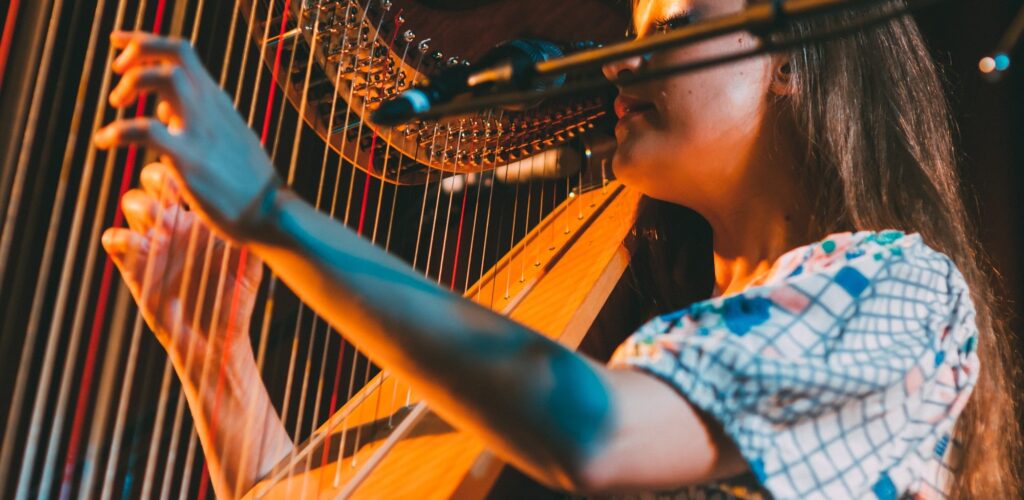 The harp - Ireland's traditional instrument • Go to Ireland.com