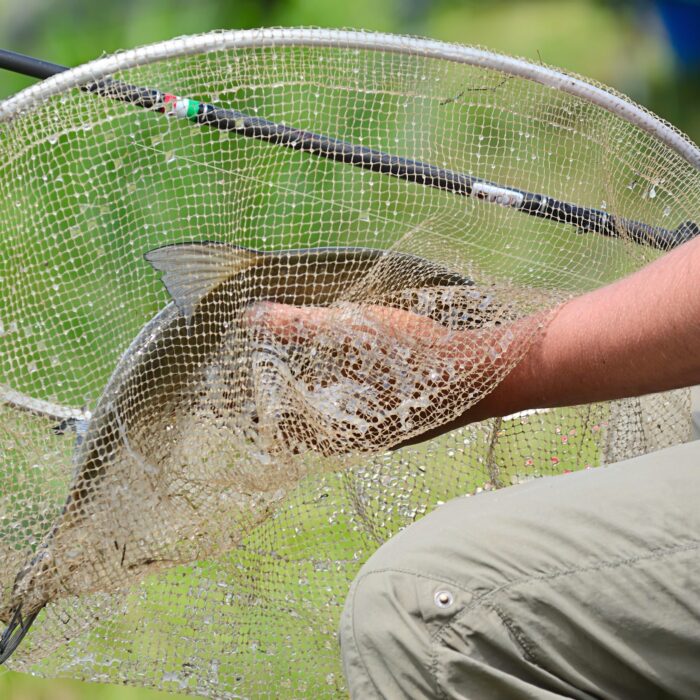 11 best fishing destinations in Ireland • Go-to-Ireland.com