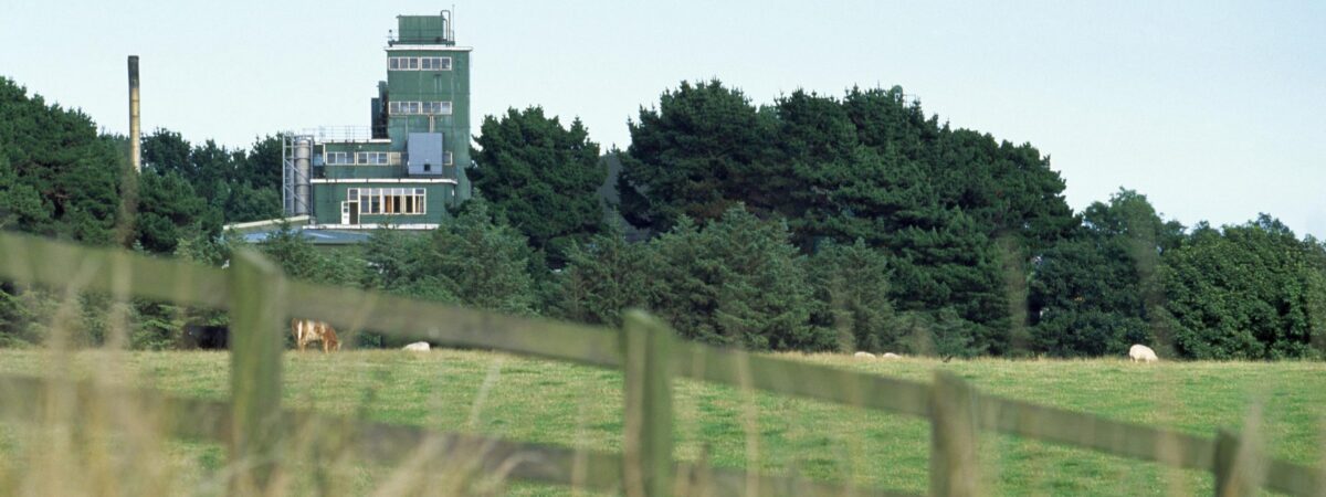 Cooley Distillery - Distillerie de Cooley • Go-to-Ireland.com
