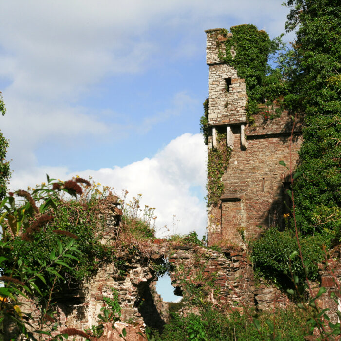 Castle Bernard - Château de Bandon • Go-to-Ireland.com