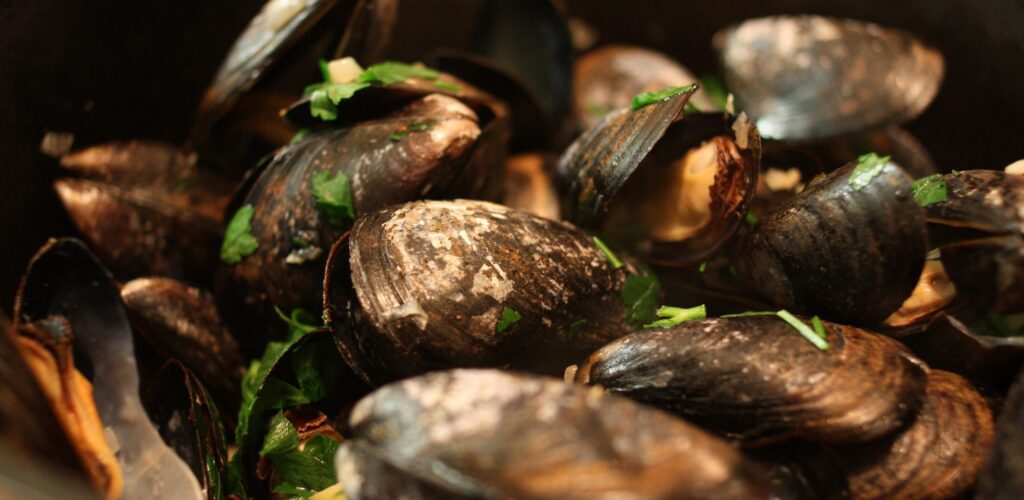 Mussels in Guinness - Irish speciality • Go-to-Ireland.com