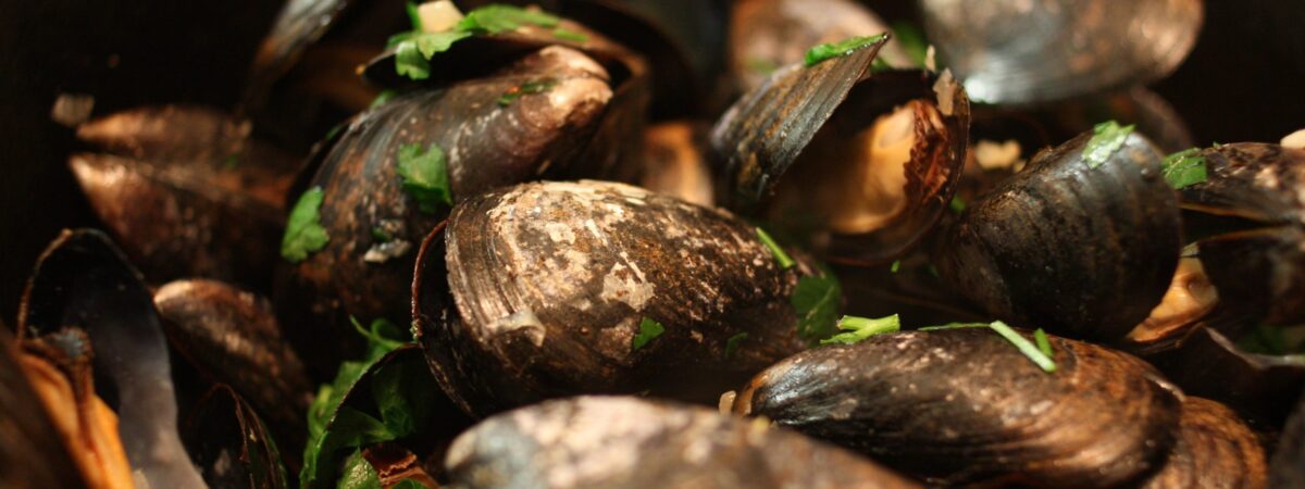 Mussels in Guinness - Irish speciality • Go-to-Ireland.com