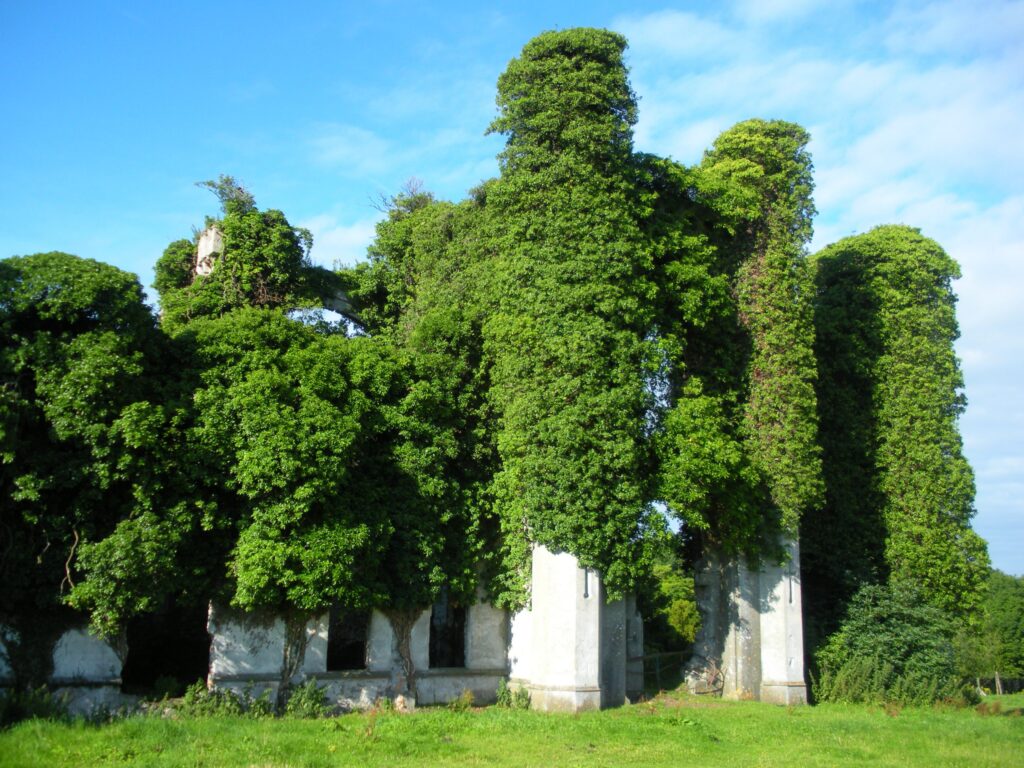 Moydrum Castle - Irish castle • Go-to-Ireland.com