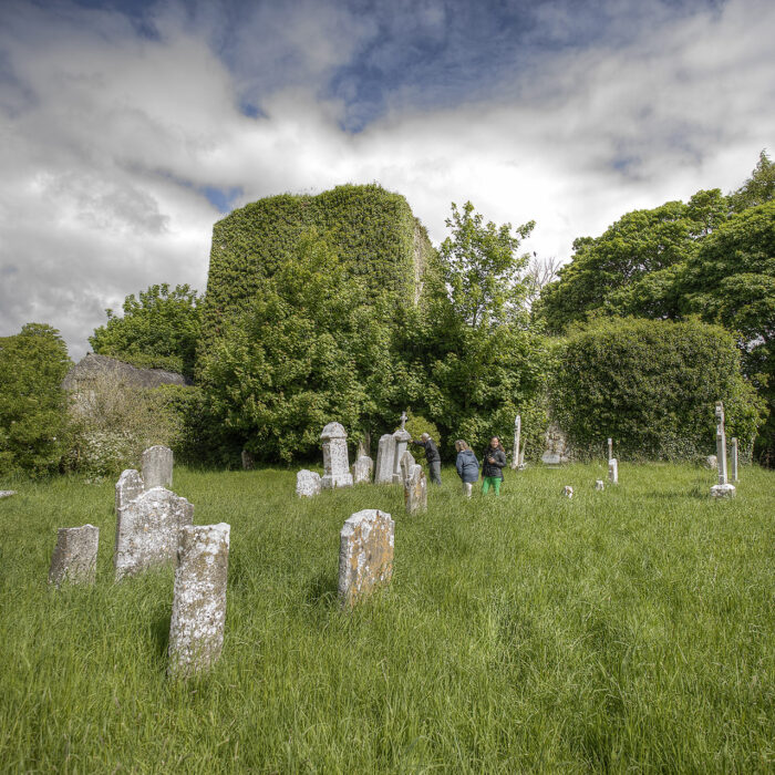 Threecastles Castle - Wicklow Castle • Go-to-Ireland.com