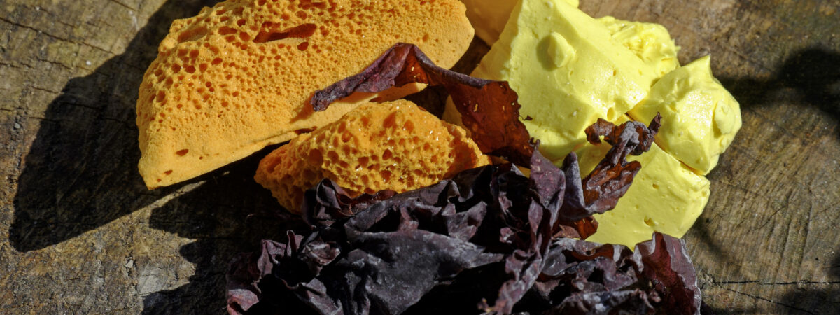 The Yellowman - Northern Irish delicacy | Guide Irlande.com