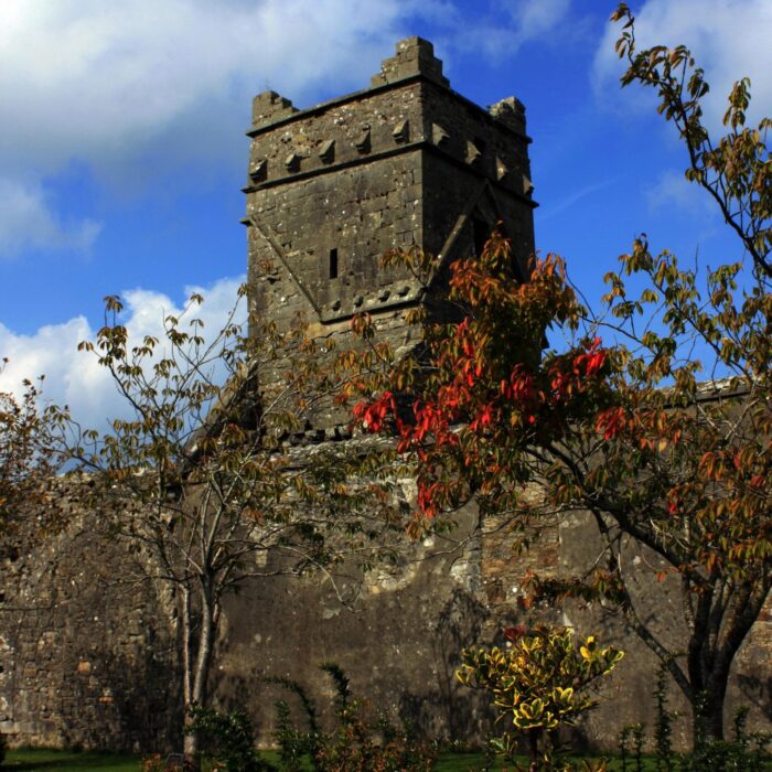 Dunmore Abbey - Irish abbey • Go-to-Ireland.com