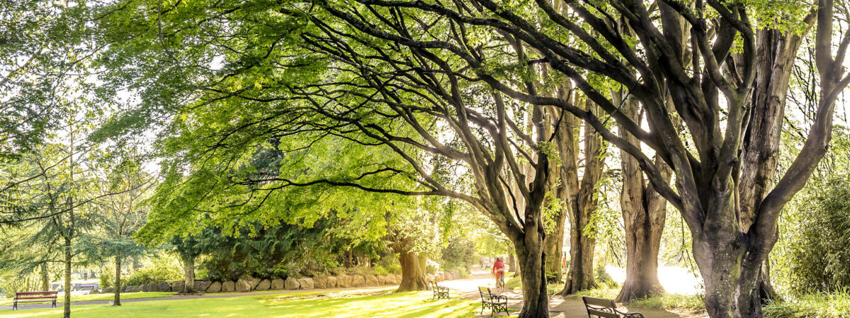 Irish parks and gardens to visit in Ireland ☘️ • Go-to-Ireland.com