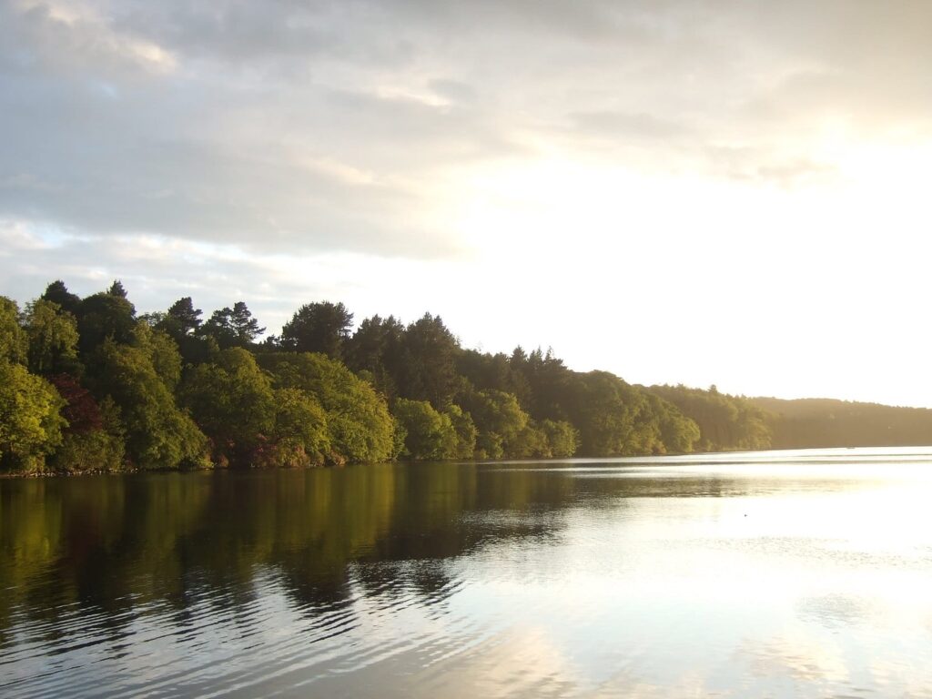 Castlewellan Forest Park & Peace Maze • Guide Irlande.com