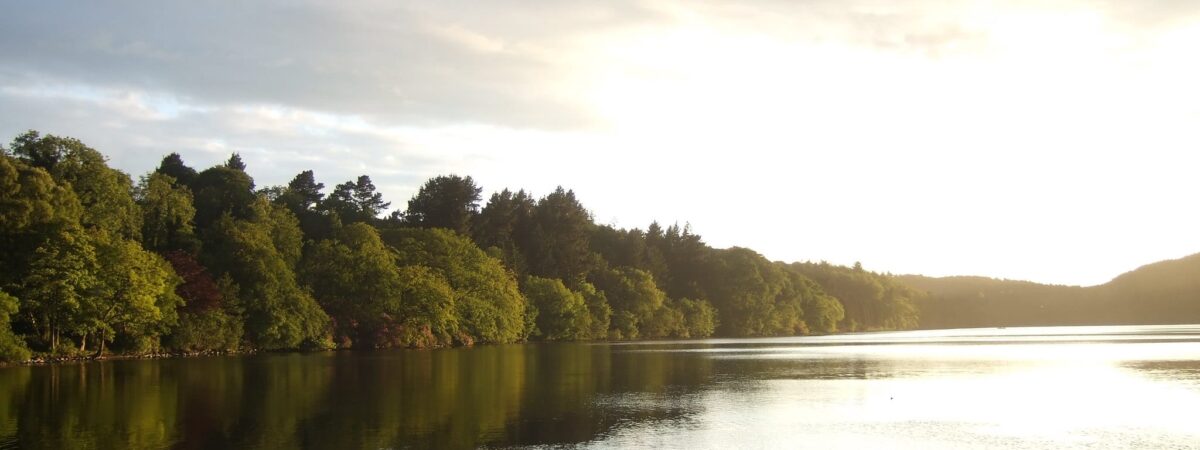 Castlewellan Forest Park & Peace Maze • Go-to-Ireland.com