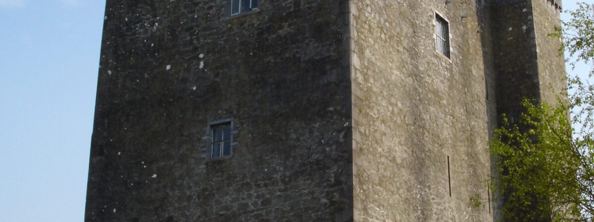The Redwood Castle - Irish Castle • Go-to-Ireland.com