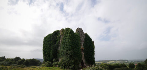 Le Shanganagh Castle - Shankill Castle • Go-to-Ireland.com