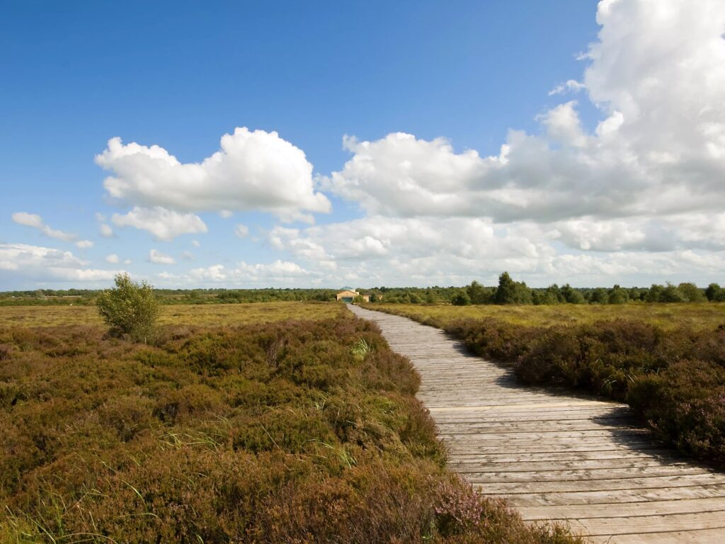 The Corlea Bog - Peat bogs in Ireland • Go to Ireland.com