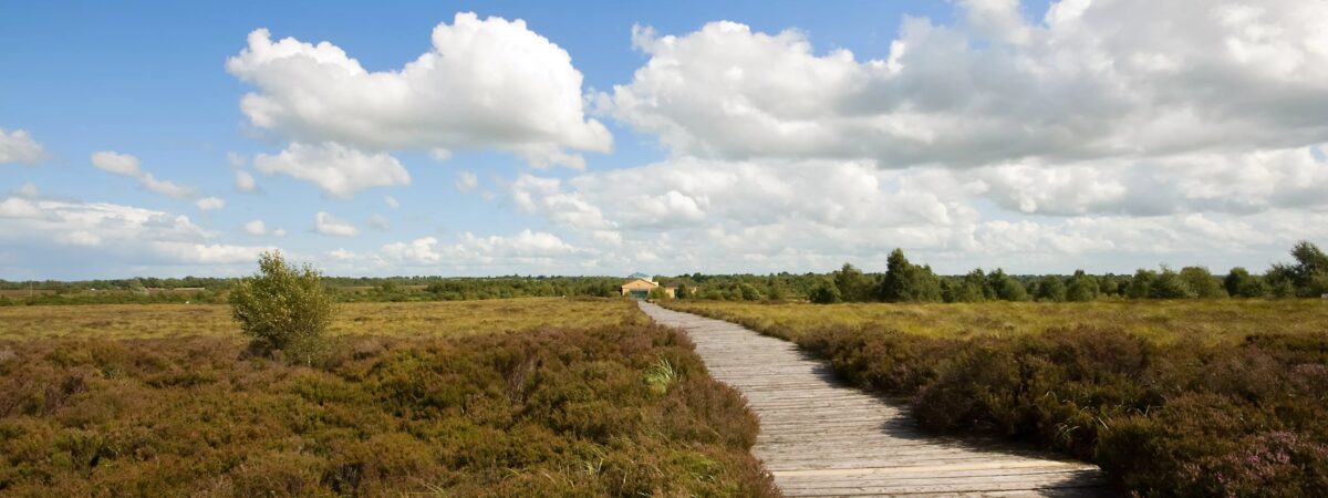 County Longford ☘️ : activities & accommodation • Go-to-Ireland.com