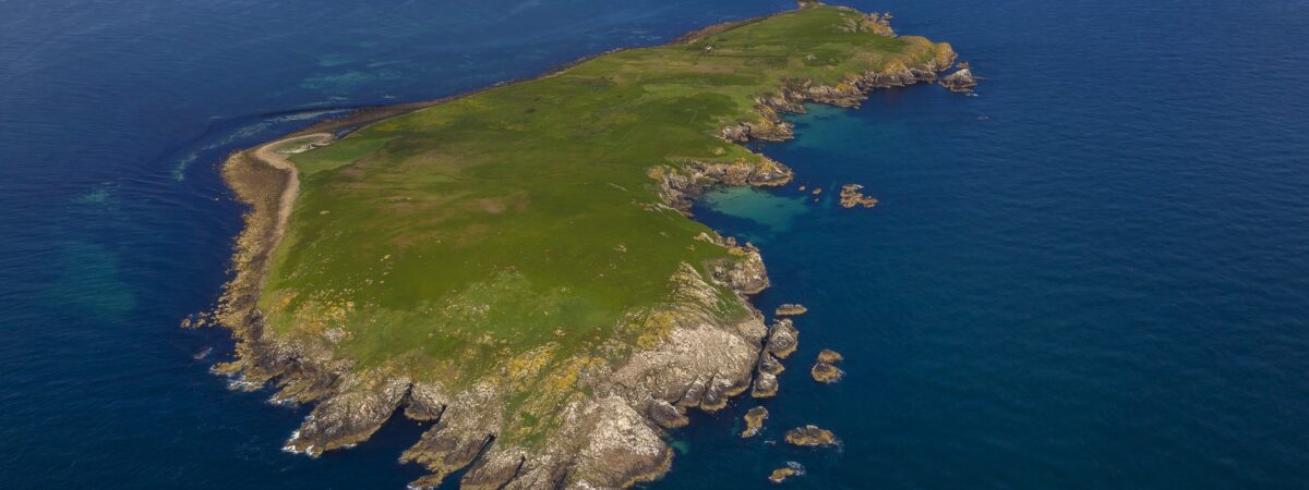Saltee Islands ☘️ : activities & accommodation • Go-to-Ireland.com