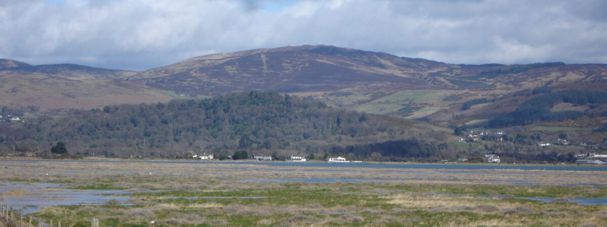 Cooley ☘️ : activities & accommodation • Go-to-Ireland.com