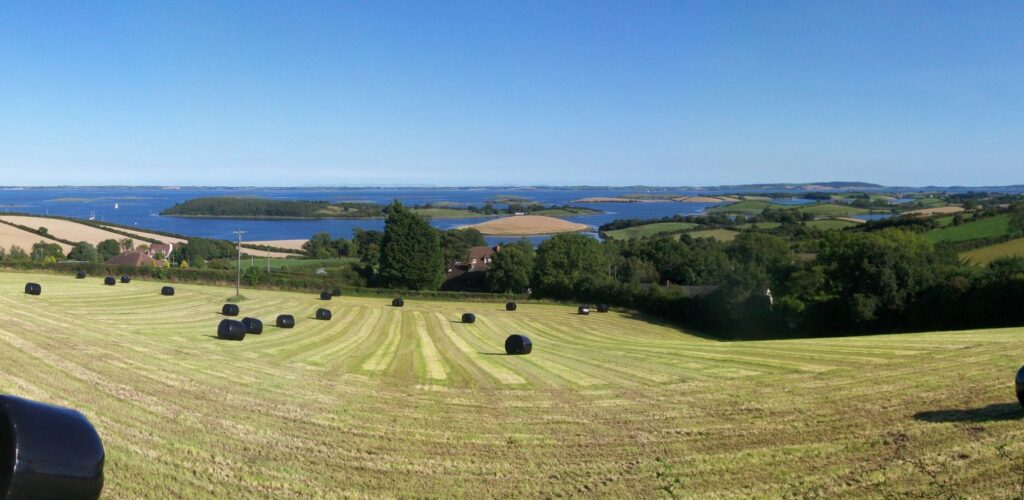 The Ards Peninsula ☘️ : activities & accommodation • Go-to-Ireland.com