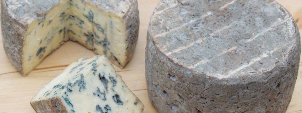 Kearney Blue - Northern Irish blue cheese | Guide irlande.com