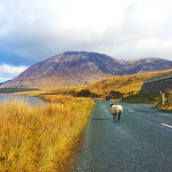 Irish symbols • Go-to-Ireland.com