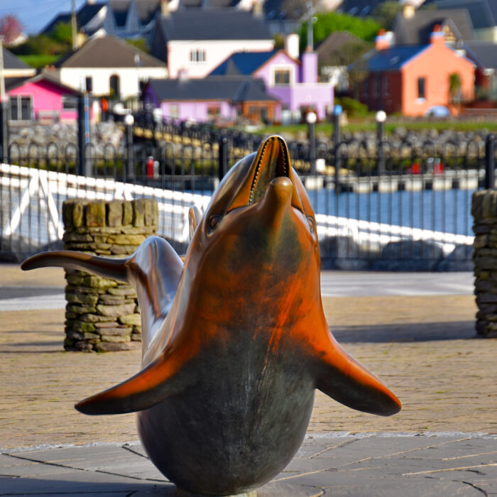 Ireland: Fungie, the famous Dingle dolphin, is missing • Go-to-Ireland.com