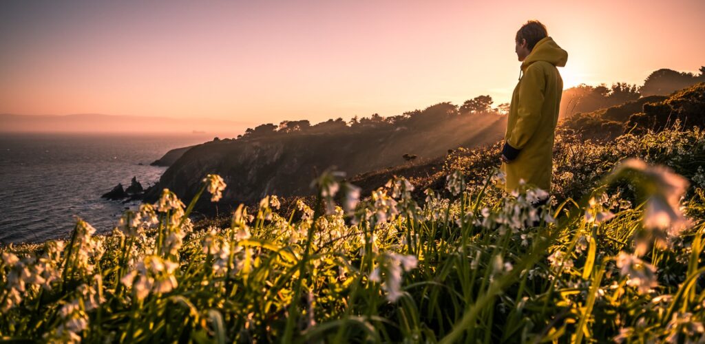 The Howth Cliff Path - Hiking in Howth • Go-to-Ireland.com