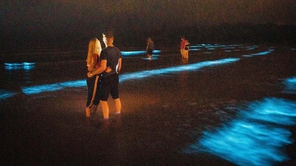 Bioluminescent plankton lights up a beach in County Cork, Ireland! • Go ...