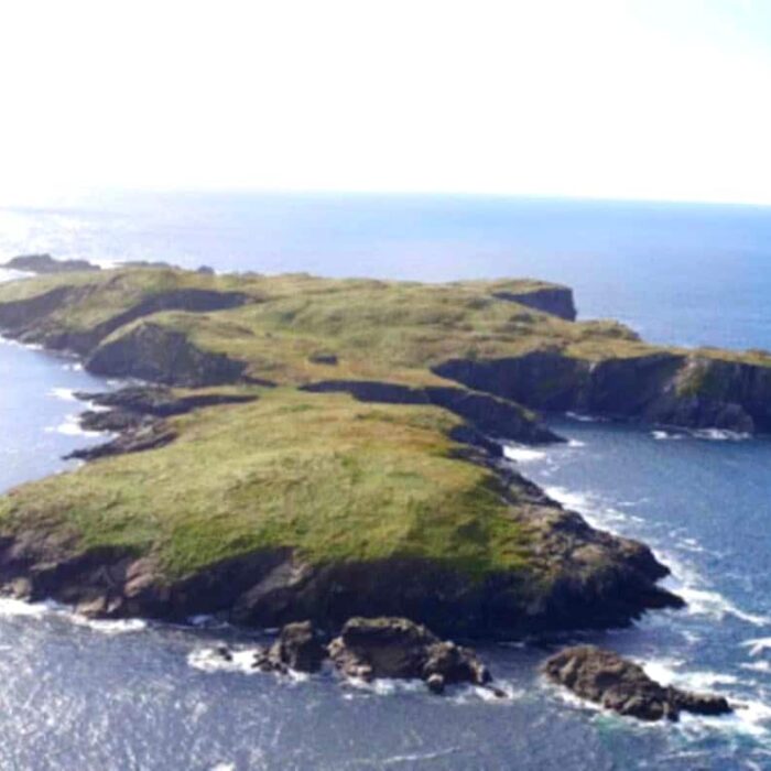 High Island: a wild Irish island for sale for 1.25 million euros • Go ...