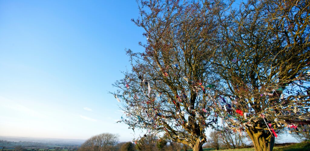 Fairy tree to visit in Ireland ☘️ • Go-to-Ireland.com