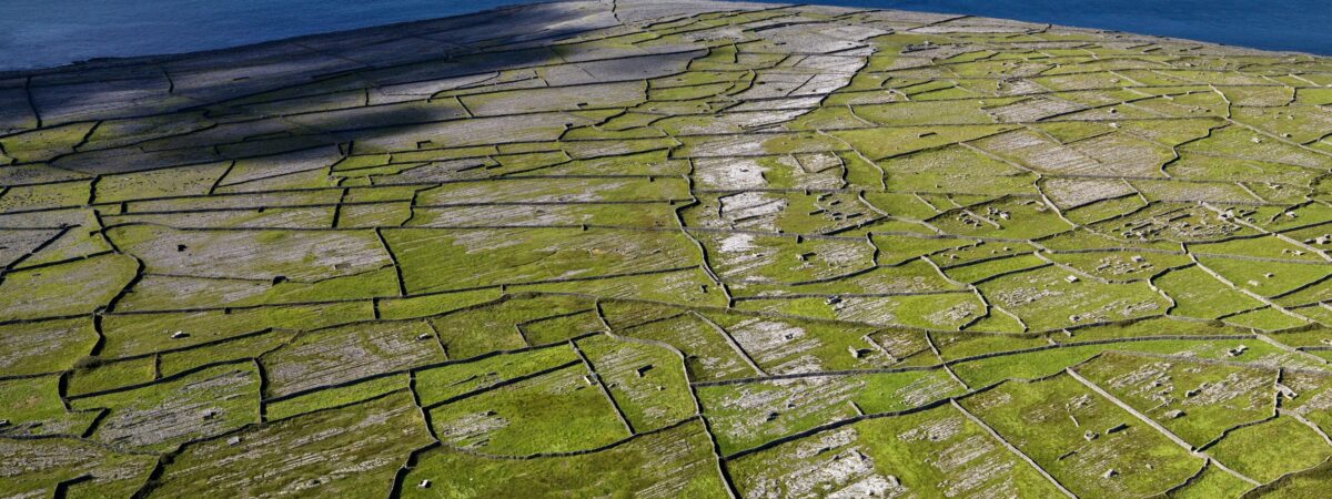 Ecology in Ireland • Go-to-Ireland.com