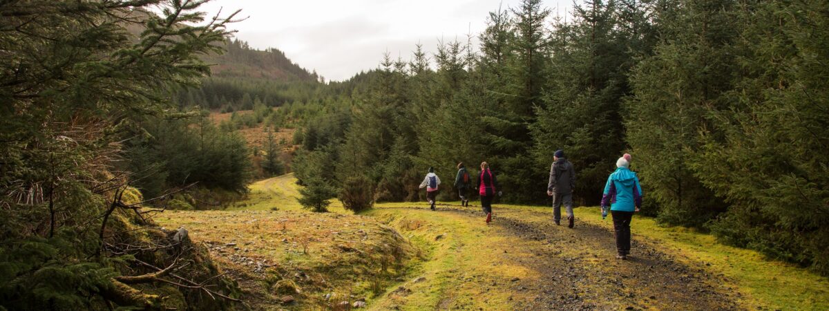 The Letterkeen Loop Trail Head • Go-to-Ireland.com