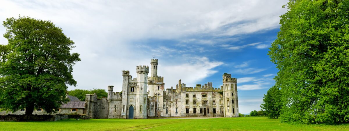 Duckett's Grove - Castle in ruins • Go-to-Ireland.com