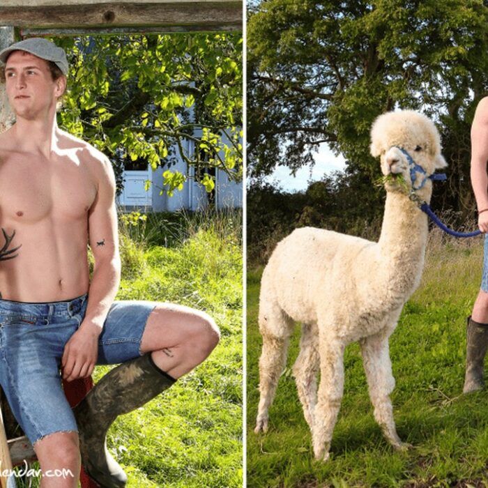 Get ready: the Irish Farmers' Calendar 2023 has just been released ...