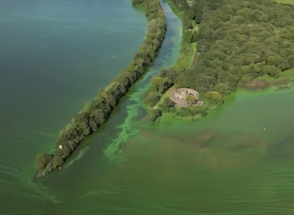 Climate shock: Lough Neagh, Ireland's largest lake, at risk • Go to Ireland.com