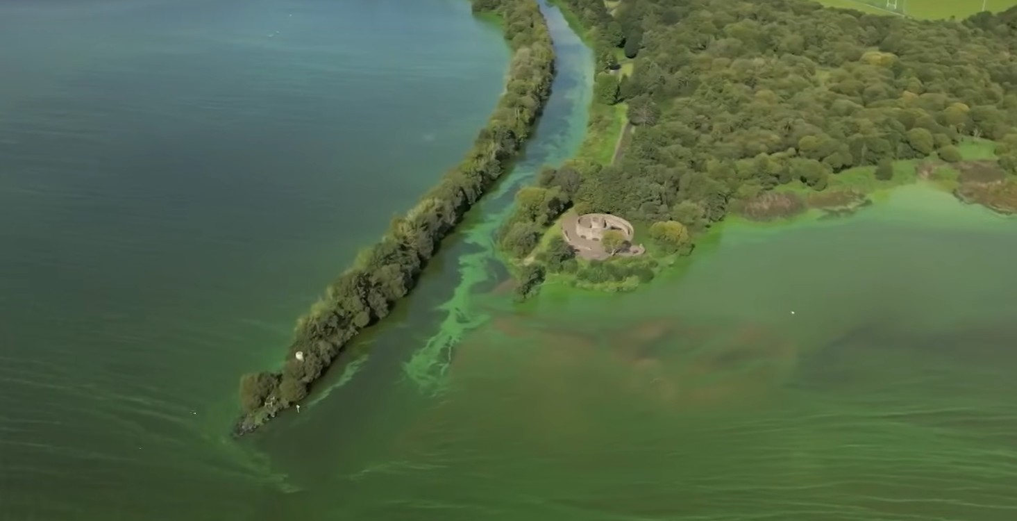Climate shock: Lough Neagh, Ireland's largest lake, at risk • Go-to ...