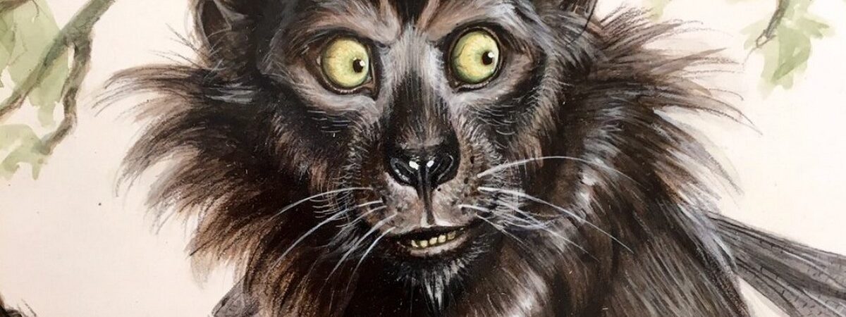 The Púca - Irish folk creature • Go-to-Ireland.com