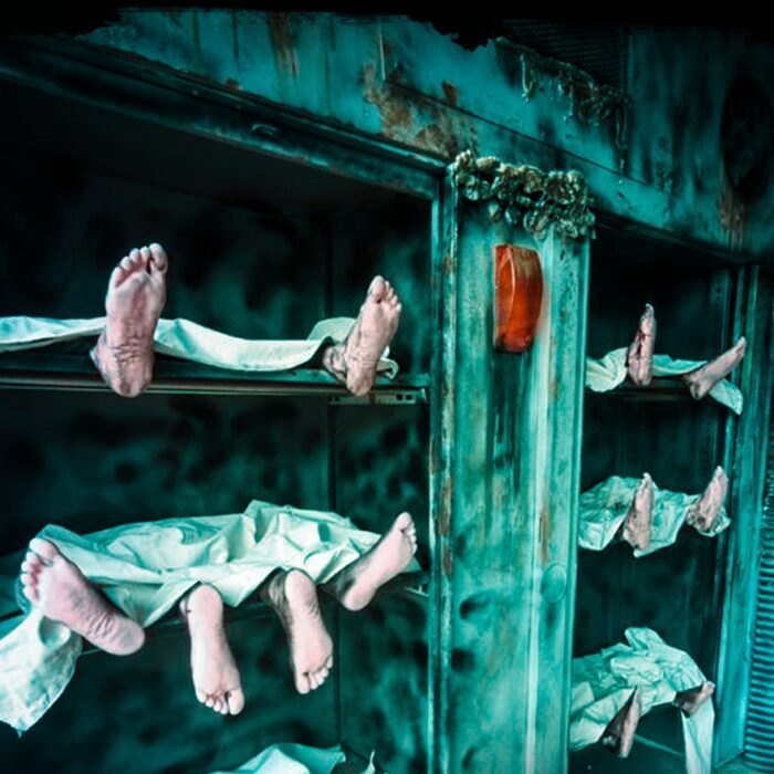 Farmaphobia - Terrifying attraction in Ireland • Go-to-Ireland.com