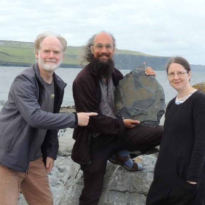 Ireland - A 315-million-year-old fossil discovered on the Cliffs of ...