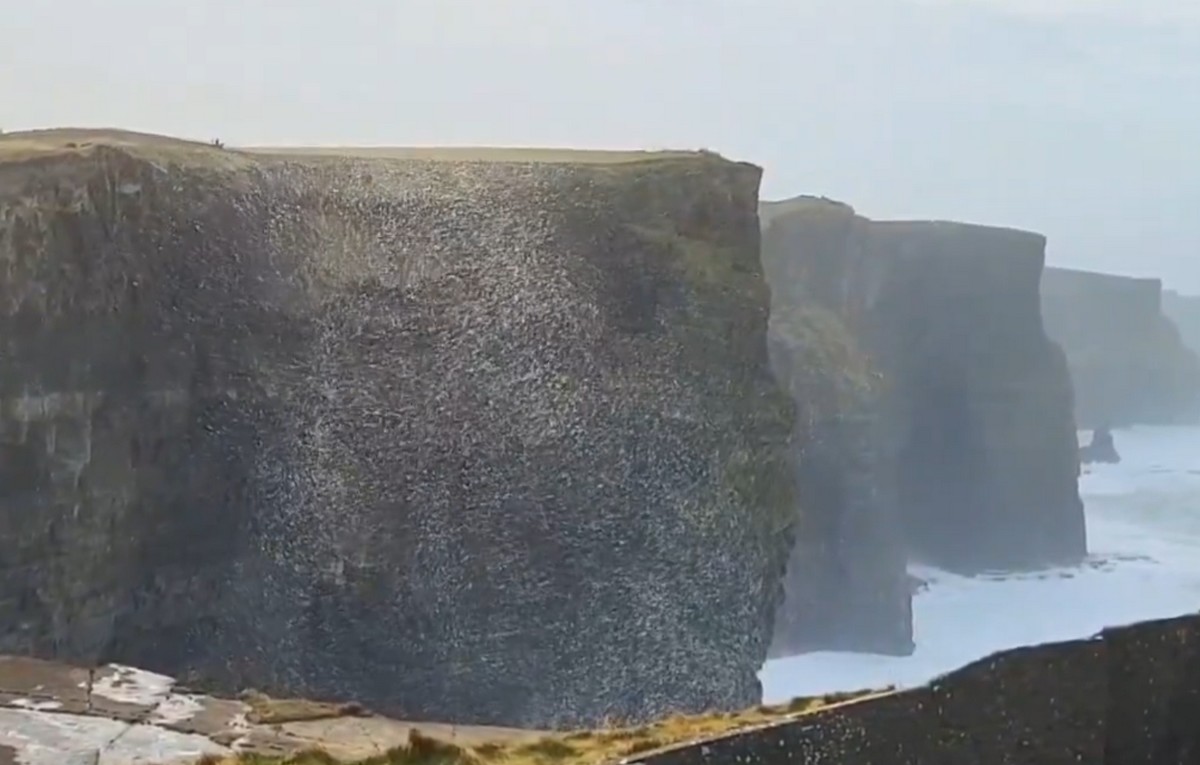 Cliffs of Moher - Storm Isha causes a unique phenomenon: a levitating ...